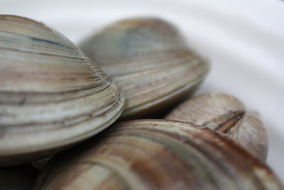 Cackalackyfoodie: June 2010