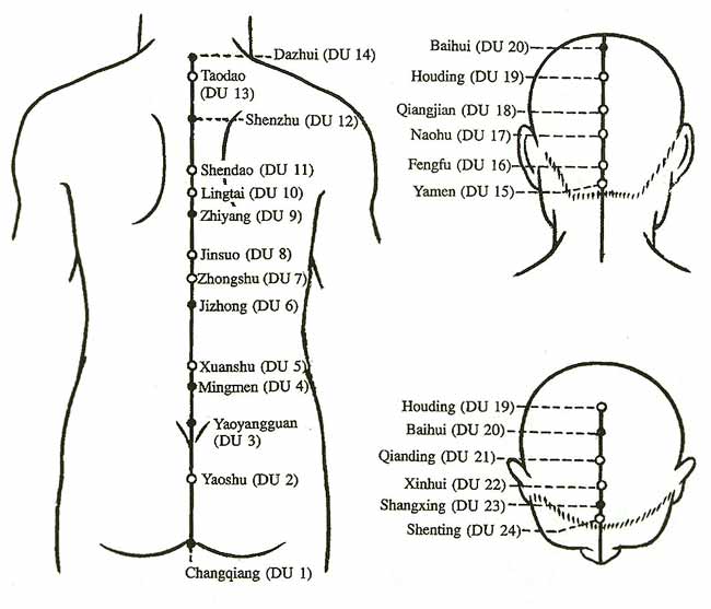 ANA HATLARIYLA ŞİATSU - AKUPRESÖR (ACUPRESSURE) TEKNİKLERİ: DU MAI ...