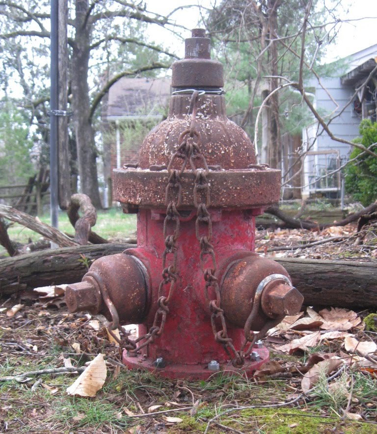 WILEY RAILROAD RELIC GARDEN in the foothills of the Blue Ridge ...