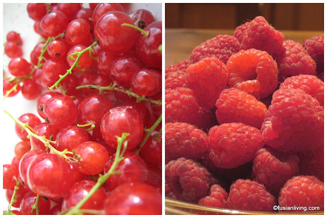 Delicious Things to Harvest in June! | Grow Your Own Veg Blog ...