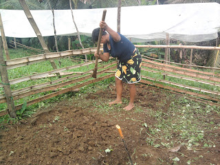 ESCUELA DE AGRICULTURA ECOLÓGICA CON ÉNFASIS EN ASOCIATIVIDAD ...