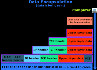 Spice Up Your Knowledge!!!: Data Encapsulation & Decapsulation in the ...