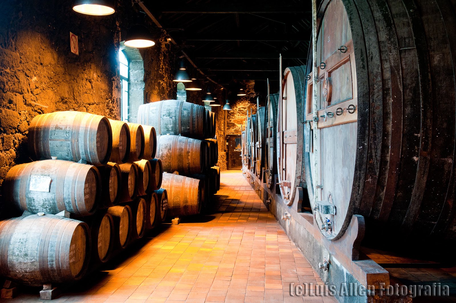 Las bodegas del vino de Oporto en Vila Nova de Gaia | Portugal Turismo