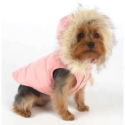 Love the way you live: doggy style