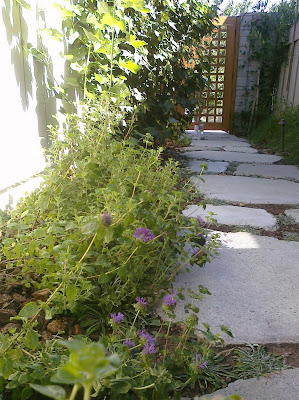 Plant Native Designs: Urbanite Path and Cut-Stone Patio Entrance ...