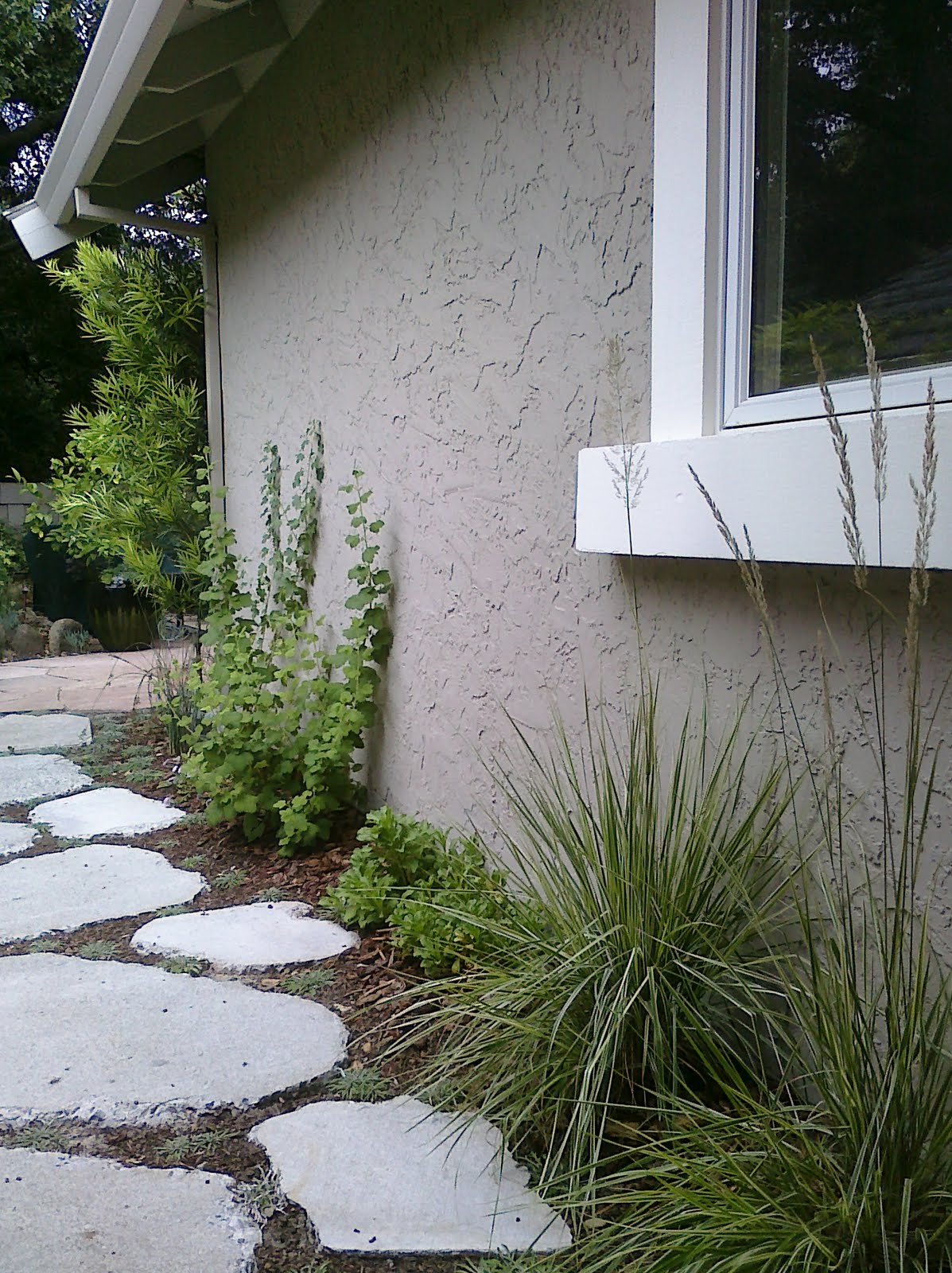 Plant Native Designs: Urbanite Path and Cut-Stone Patio Entrance ...