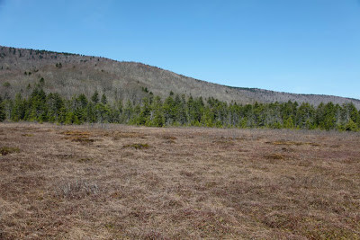 Nature remains.: From the Blog... to the Bog (SWF)