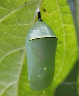 Nature remains.: Journey