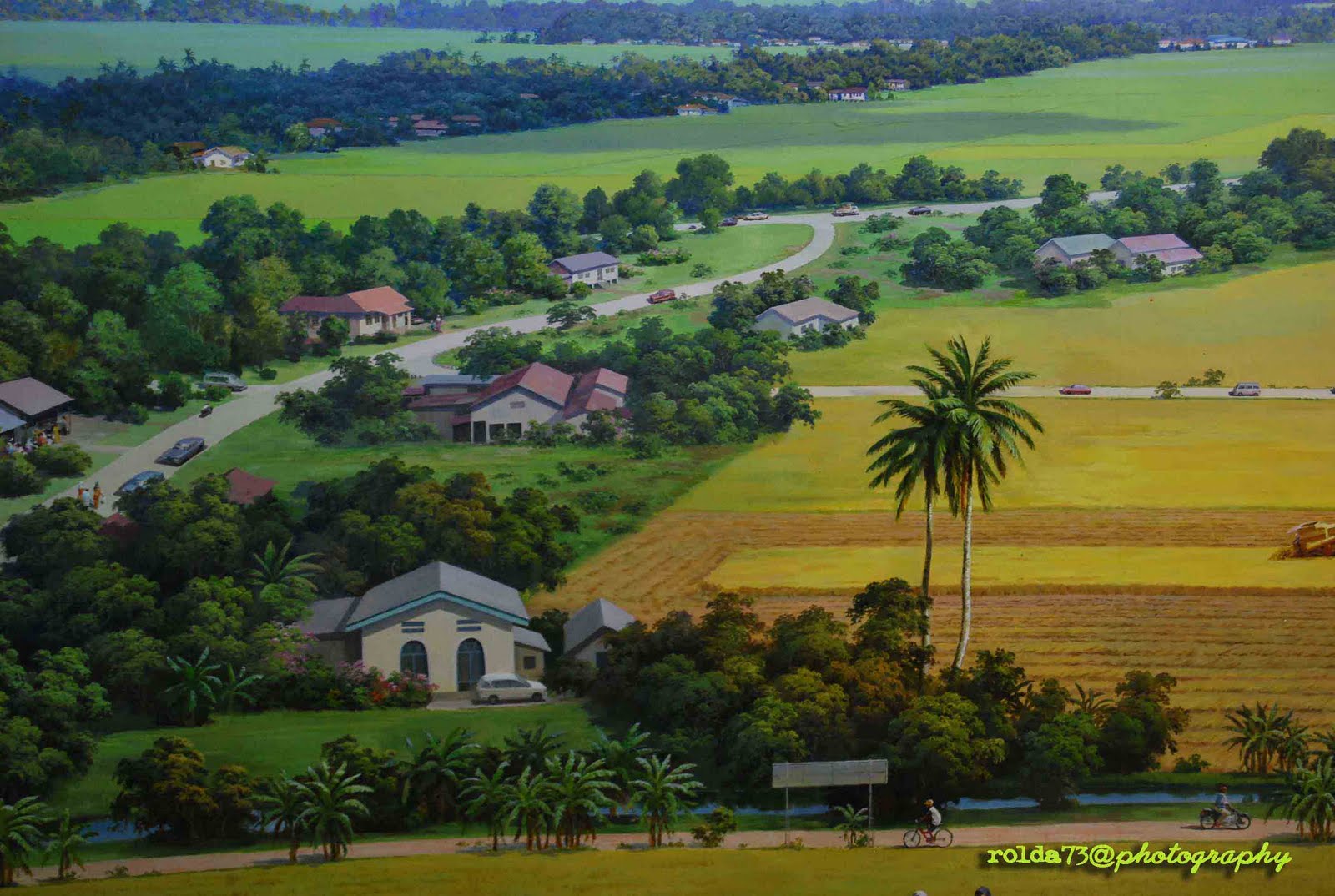 .: keindahan visual sawah padi di kedah