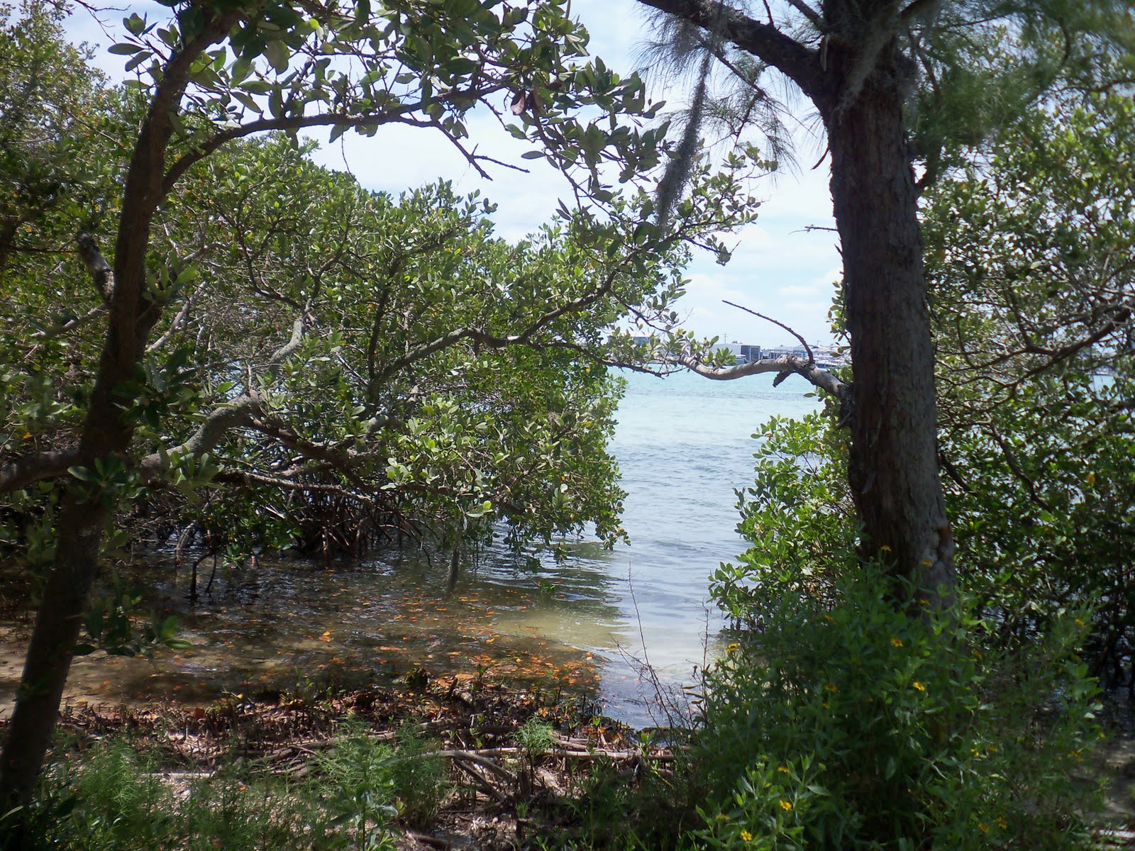 Southwest Florida Shoreline Studies: Quick Point