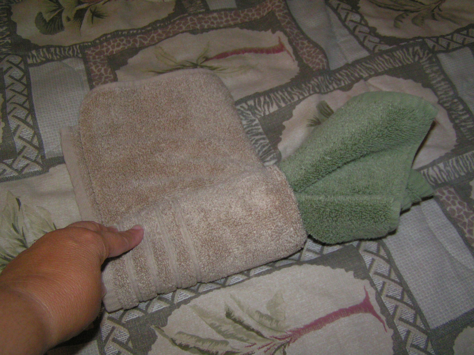 Corpany Creative Clearinghouse: Towel Origami - Palm Tree