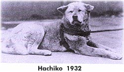 Hechos de la vida real: "Hachiko" The loyal dog