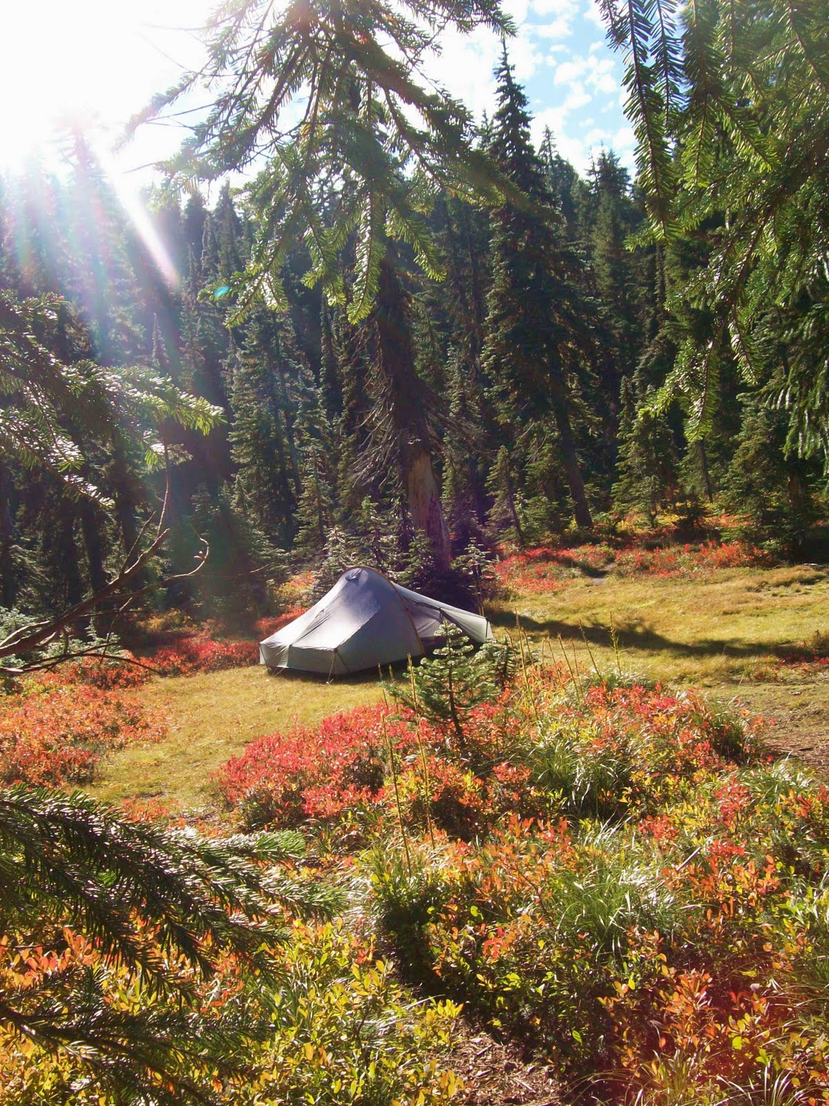 Indian Heaven Wilderness | End Of Ordinary