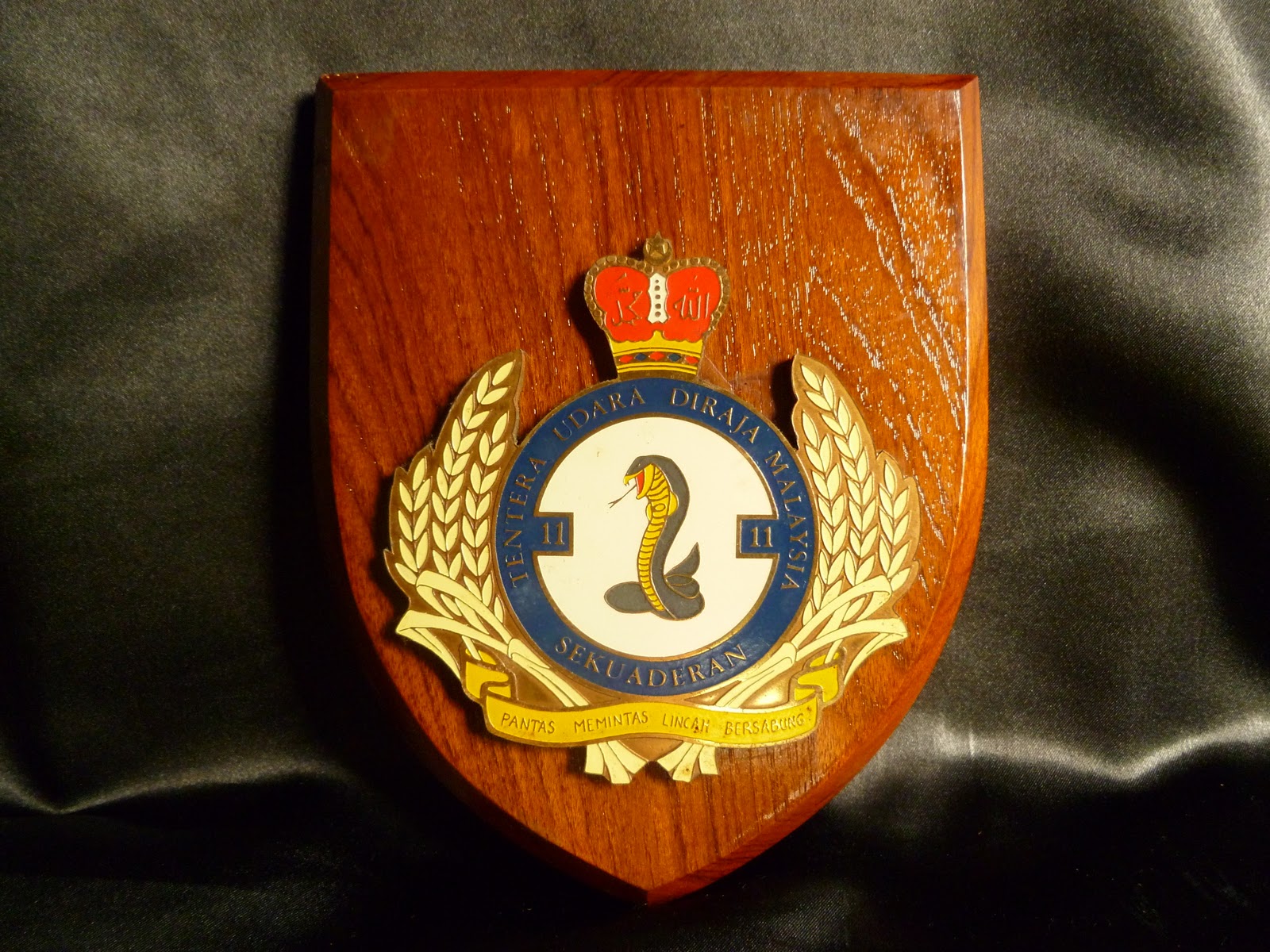 The Gunship Escorte: The Reconnaissance Squadron (No.11 Squadron RMAF ...