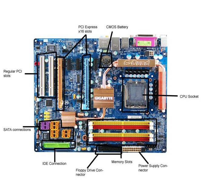 gomitas2: 14. PLACA BASE