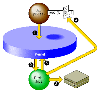 gomitas2: NUCLEO O KERNEL