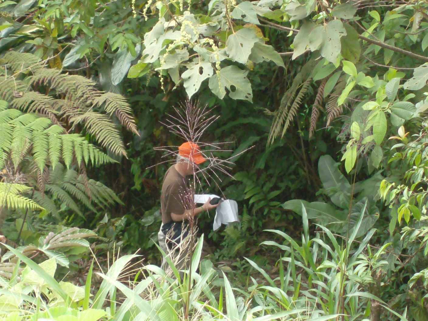 Andean Trekker: Nate Saint House, Shell, Ecuador