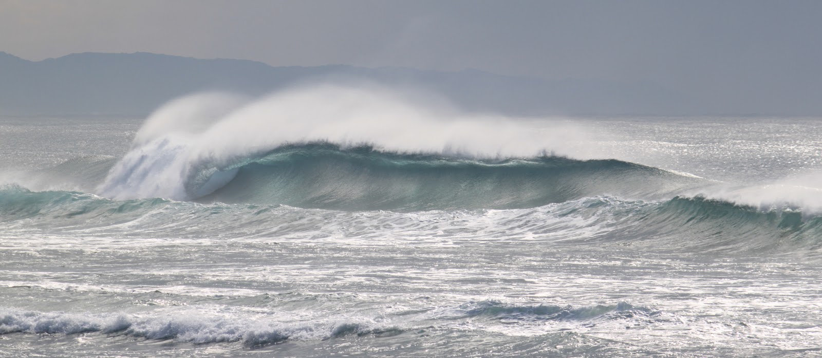 Dinkie D: Bodyboarding : Maphelane (Pearl)