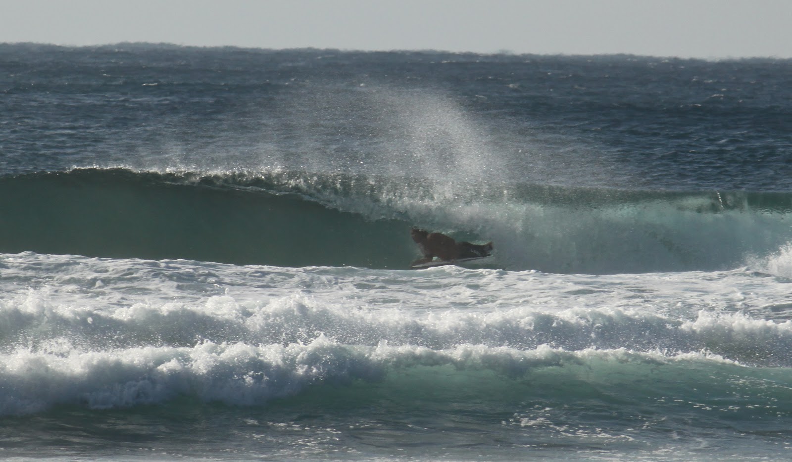Dinkie D: Bodyboarding : Maphelane (Pearl)