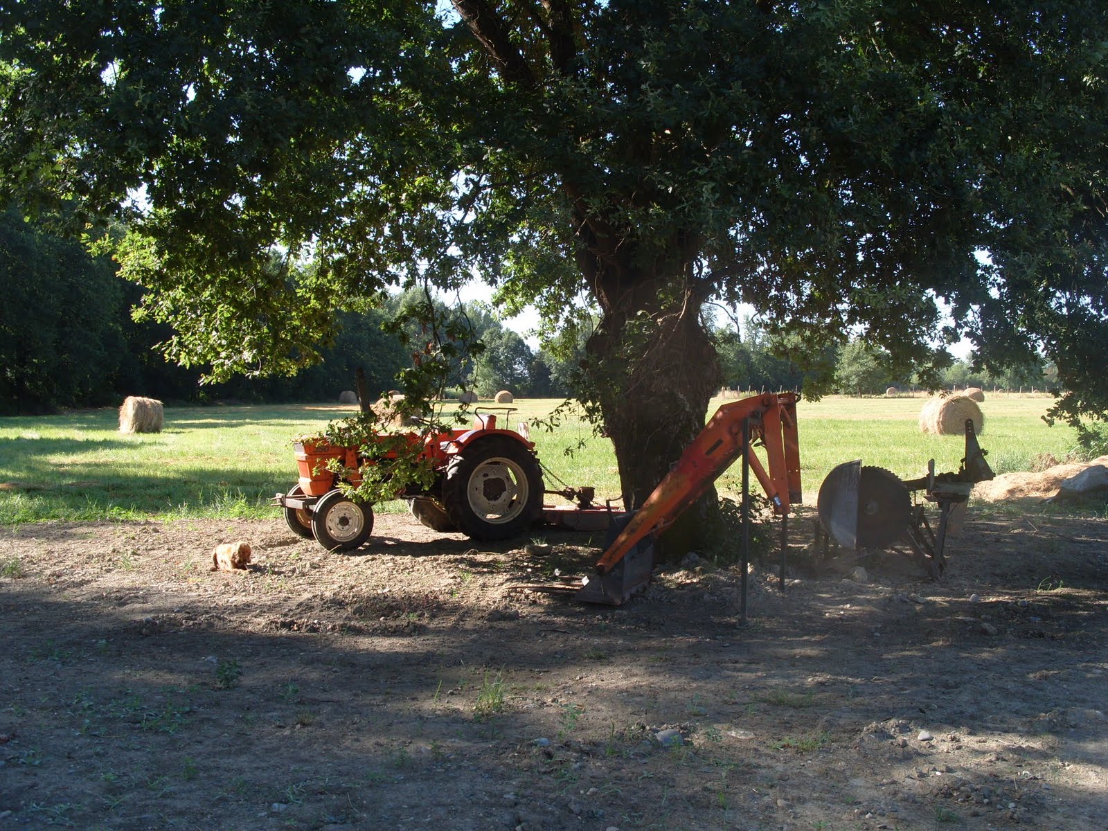 Snippets from me: July 2010