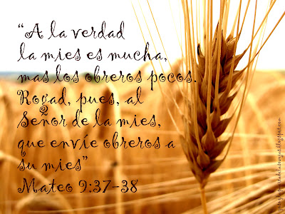 YO SOY EL BUEN PASTOR: Mateo 9:37-38