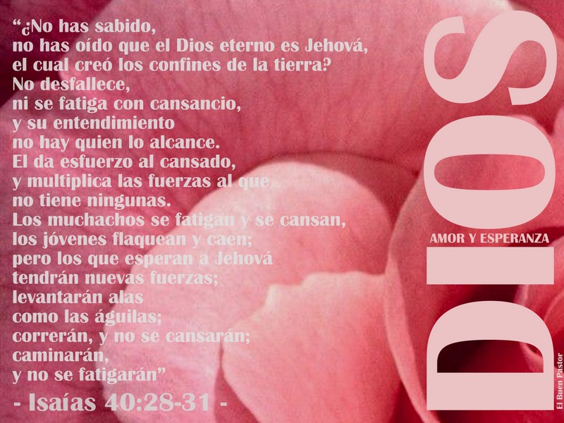 YO SOY EL BUEN PASTOR: Isaías 40:28-31