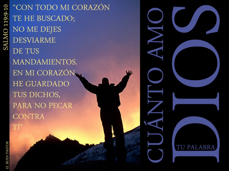 YO SOY EL BUEN PASTOR: Salmo 119:9-10