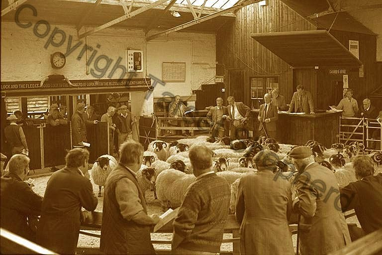 Shepherd's blog: Rothbury