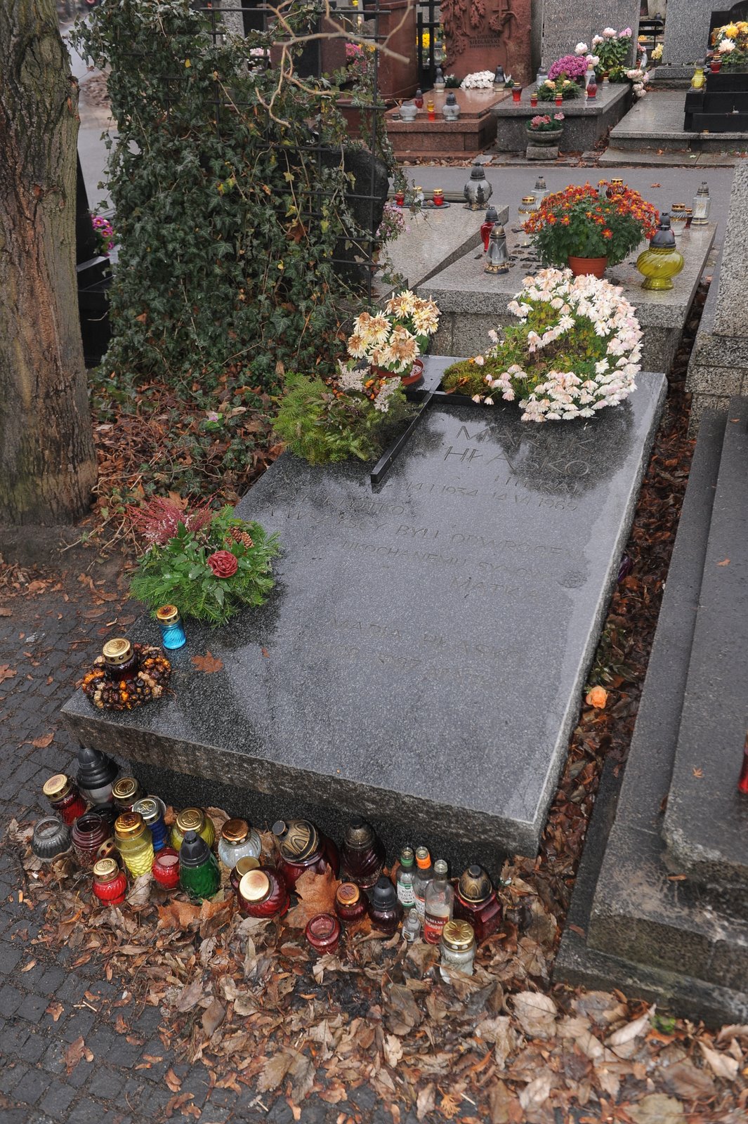 Cmentarium: Grób Marka Hłaski