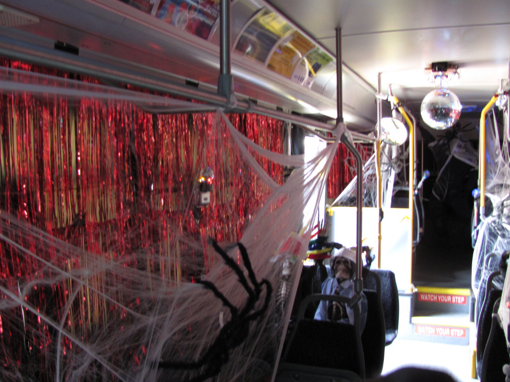 Editorials from Theslowlane: Scared to ride the bus?