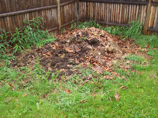 Home Biology: Soda Bottle Compost