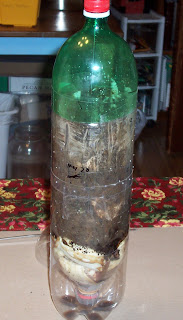 Home Biology: Soda Bottle Compost