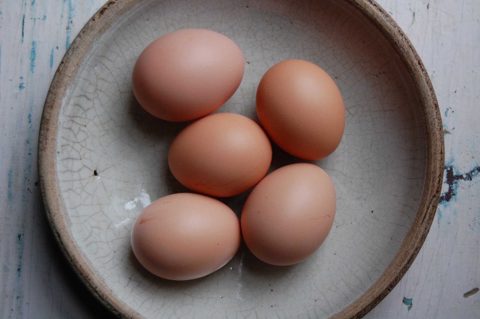 enhabiten: first eggs!
