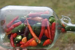 Caribbean Spirituality and Understanding in the Diaspora: Making "Chamba"