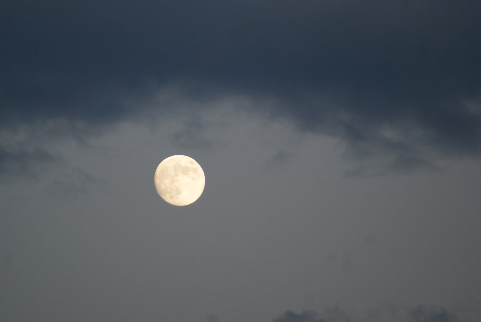 Caribbean Spirituality and Understanding in the Diaspora: Bilongo