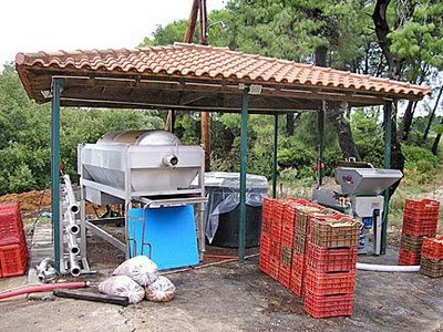 ΛΑΝΤΖΟΙ ΗΛΕΙΑΣ: ΚΤΗΜΑ ΜΠΡΙΝΤΖΙΚΗ