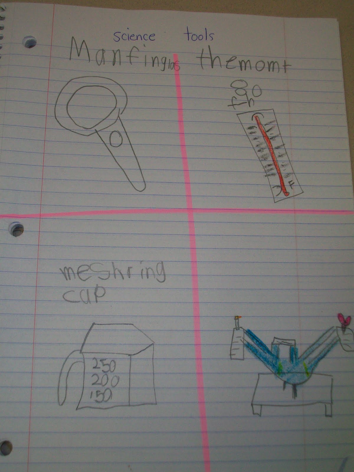 Mrs. Wheeler's First Grade Tidbits: Science Notebooks