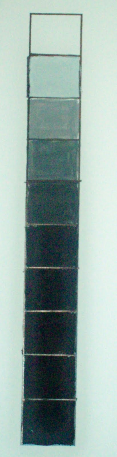 Hanauni Champion Portfolio: Color Project 2: Grayscale