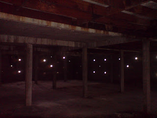 Swiftlet House Design Is The Key Of A Success In Swiftlet Farming ...