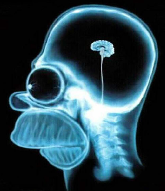 My Predictions (for every game) google doc : r/nfl