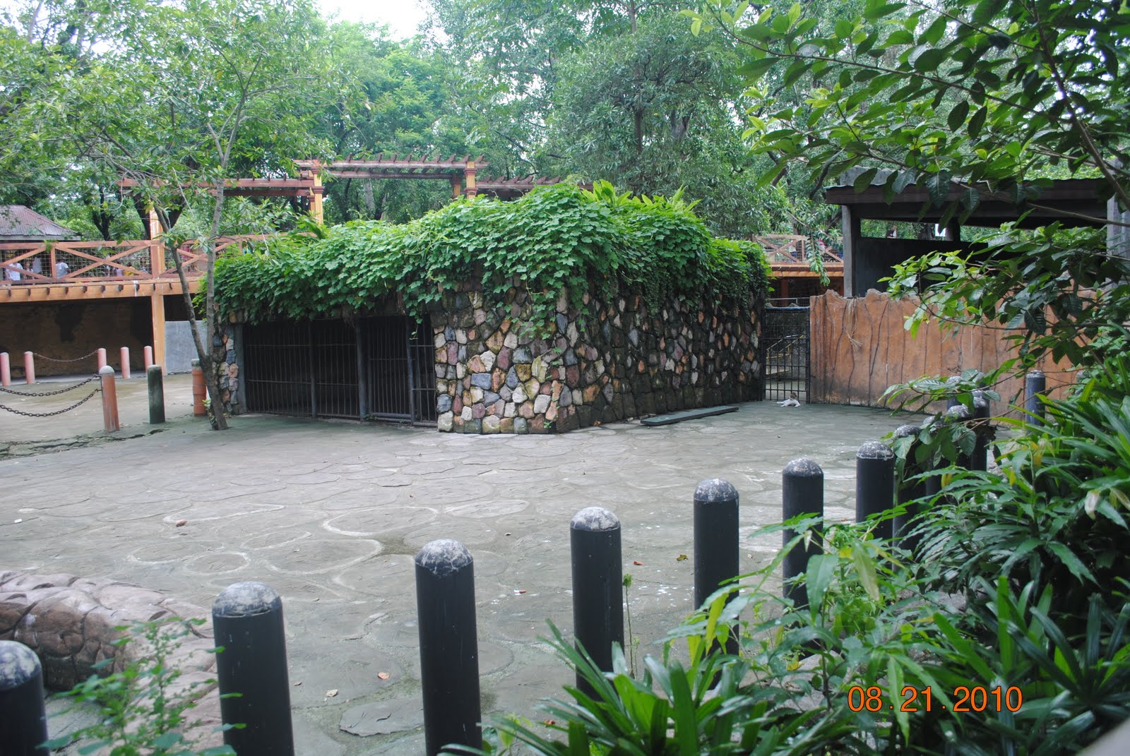 Mga Bulong Sa Likod Nitong MgaLente: Manila Zoo