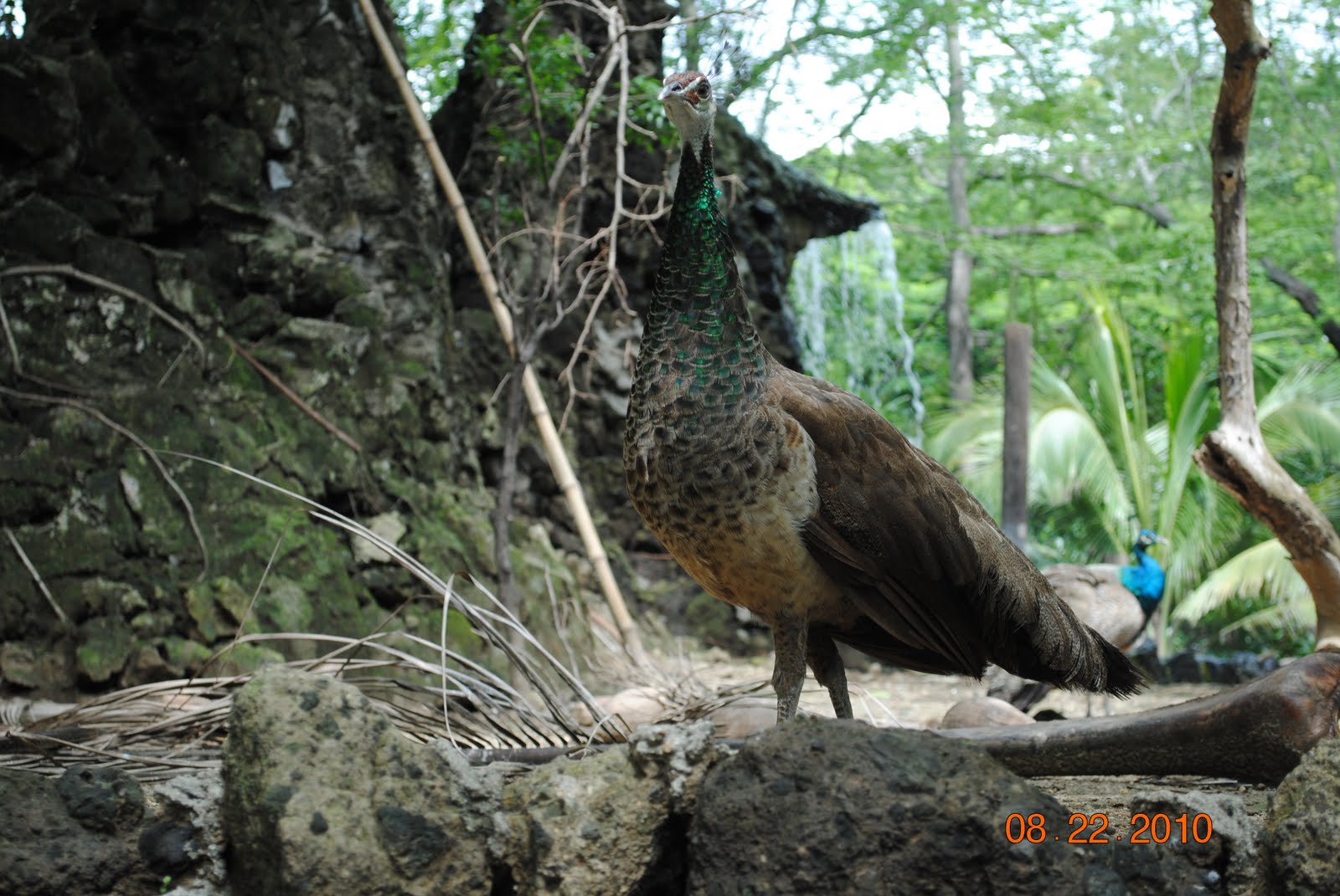 Mga Bulong Sa Likod Nitong MgaLente: Manila Zoo