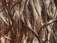 Simply My Two Centz: Review: Scrunching Your Hair With Regis Designline ...