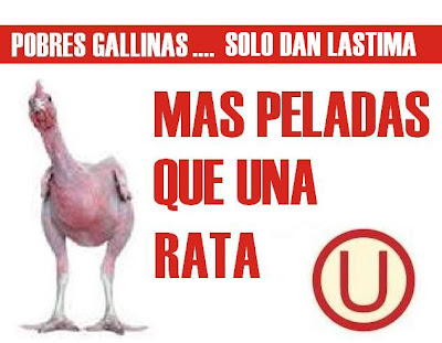 SIN SENTIDO: 2011-01-30