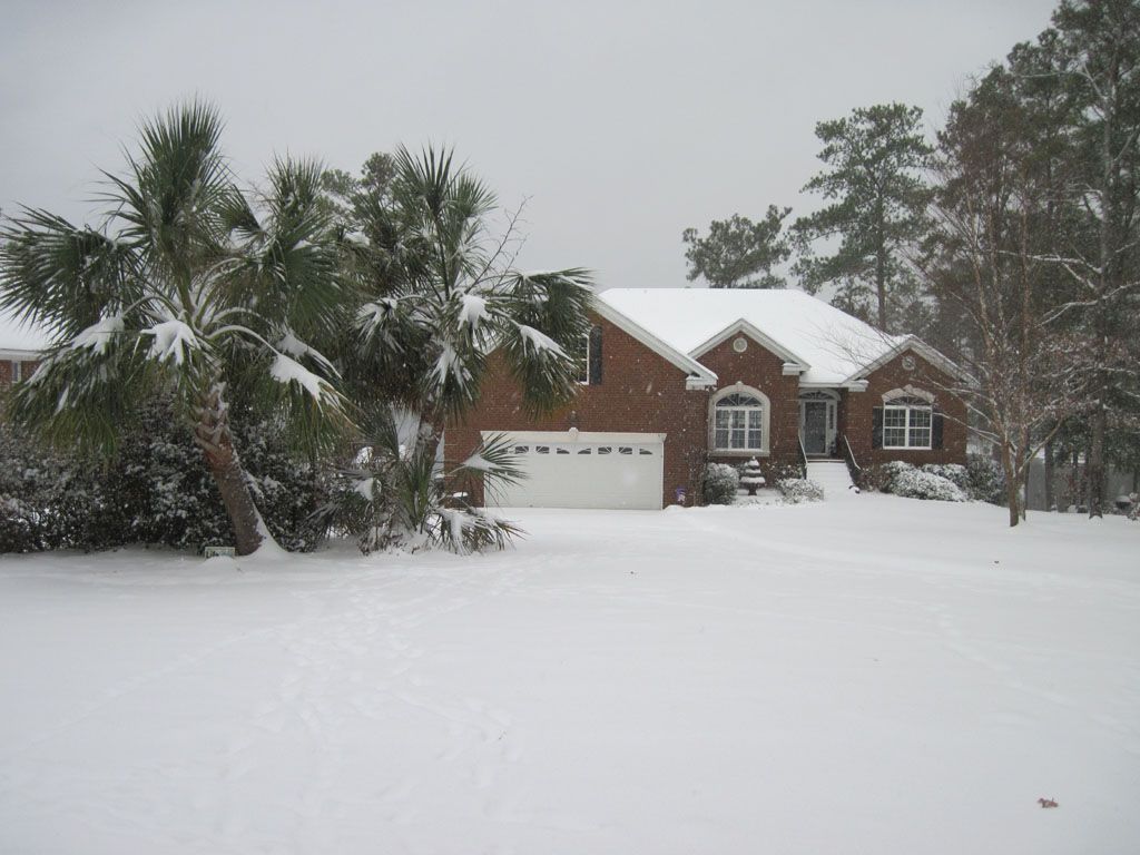 Lake Murray (SC) Blog: SNOW today at Lake Murray and in Columbia