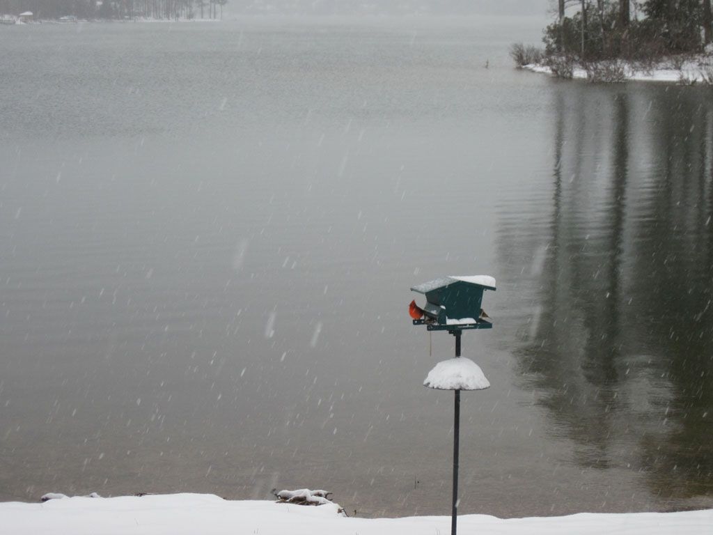 Lake Murray (SC) Blog: SNOW today at Lake Murray and in Columbia