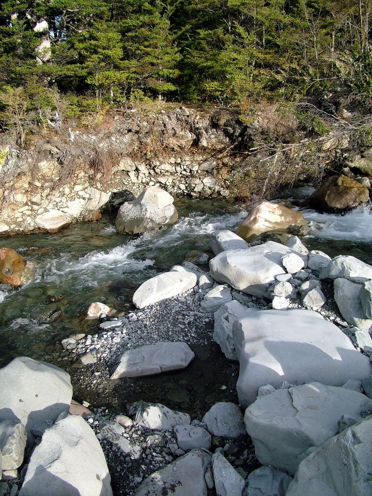 Hazel and Danny Live in New Zealand: Hawdon Valley Mini-Trek