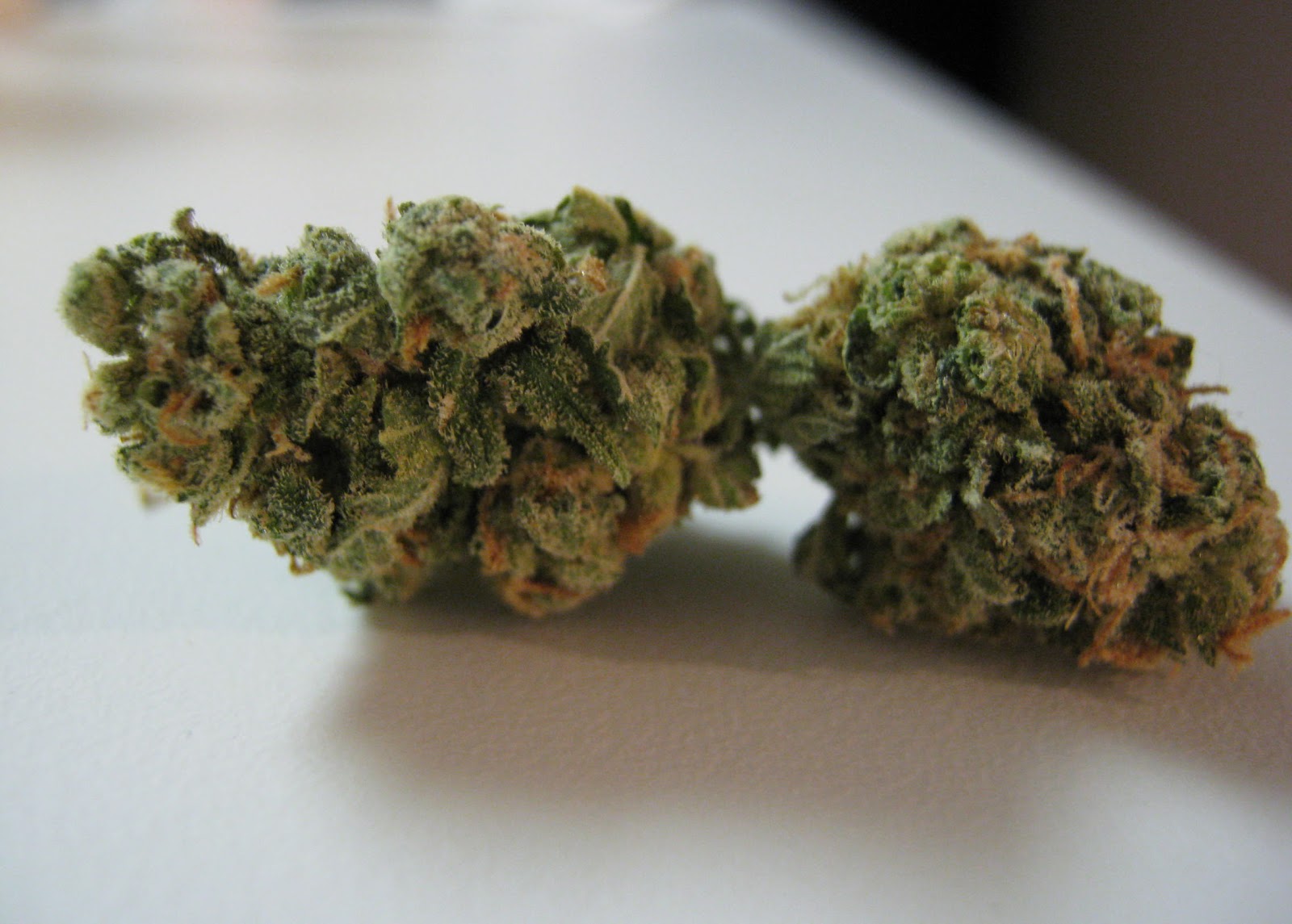 Alien OG Strain Review | Medicinal Cannabis Strains - Alien OG Alien OG Strain Review | Medicinal Cannabis Strains - Alien OG