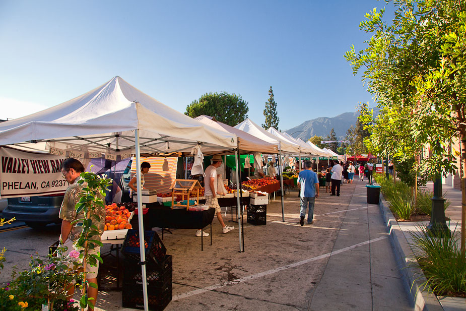Farmer's Market
