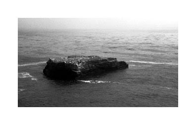 Steven Rutledge Fine Art